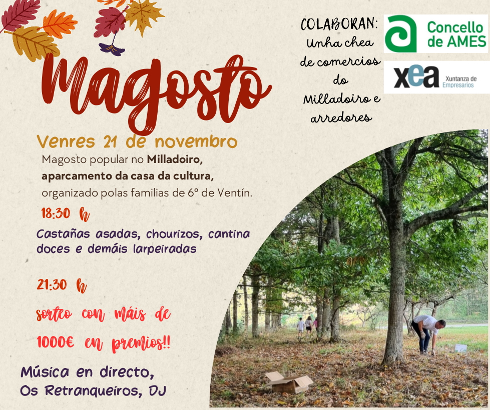 Organízase un magosto no Milladoiro para recadar fondos para a ...